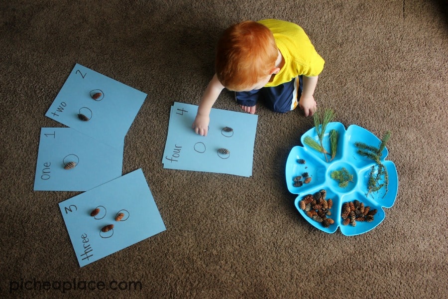 Counting with Pinecones | an nature and number exploration activity for ...